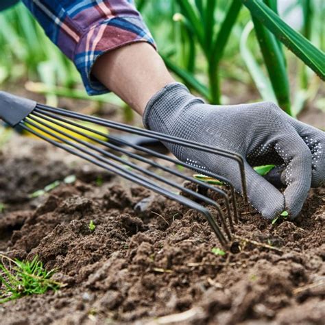 Eqip Vs Csp Which Usda Conservation Program Is Right For You Missouri Organic Association Moa