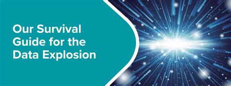 Our Survival Guide For The Data Explosion Formfactor Inc