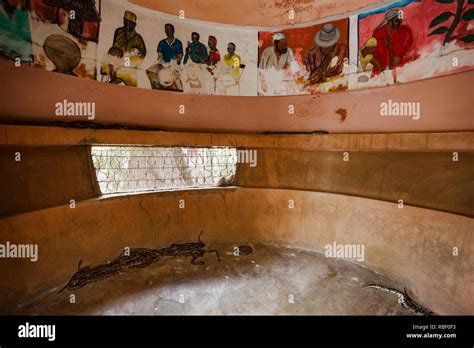 Royal Python Temple Temple Des Pythons In Ouidah Benin Africa Stock