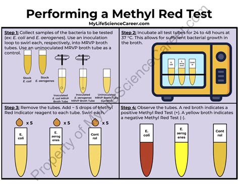 Methyl Red Test Purpose Procedure And Data Interpretation My Life