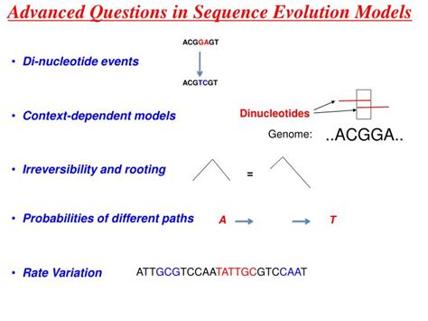 Ppt Advanced Questions In Sequence Evolution Models Powerpoint