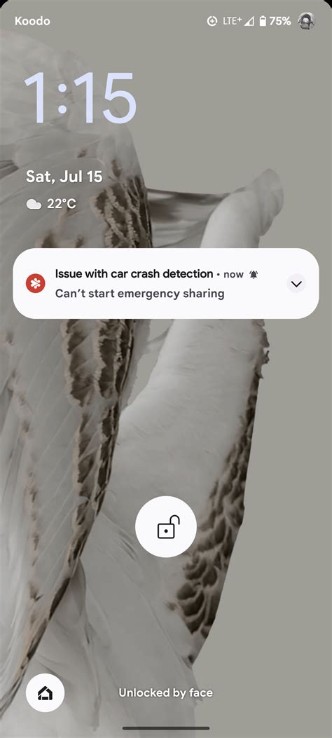 Strange Issue With Car Crash Detection Rpixelphones