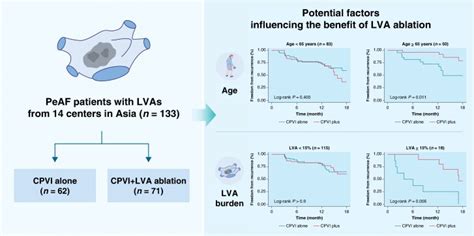 Persistent Atrial Fibrillation With Left Atrial Low Voltage Area Who Benefit From Additional
