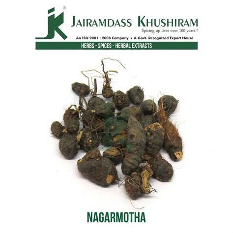 Nut Grass Root Edible At John Pavon Blog