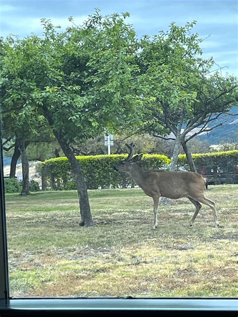 Gianmarc Grazioli On Linkedin Research Ibm Sjsu