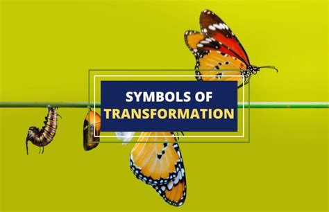 Top 28 Symbols Of Transformation And What They Mean