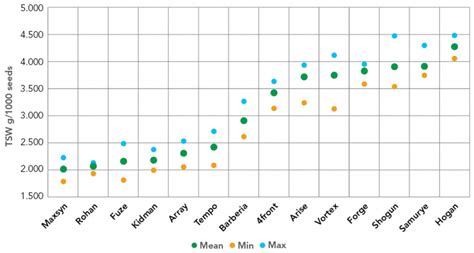 Ryegrass Seeding Density Barenbrug