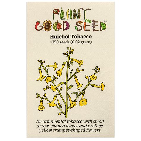 Huichol Langsdorffs Tobacco Seeds The Plant Good Seed Company