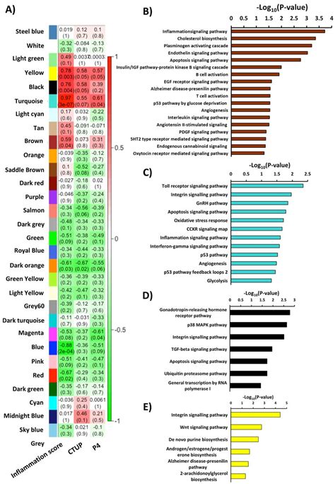 Weighted Gene Expression Co Expression Network Analysis Wgcna Of 20 Download Scientific