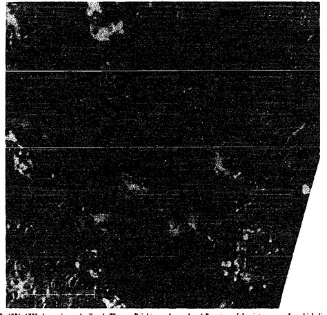 Figure 2 From Assessment Of Landsat Multispectral Scanner Spectral Indexes For Monitoring Arid