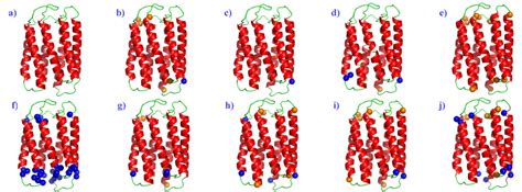 3d Structure Of The Bacteriorhodopsin Grigorieff Et Al 1996 Download Scientific Diagram
