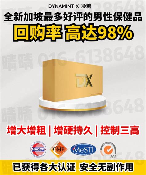 冷糖dyna X【新加坡现货】