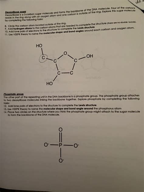 Solved Deoxyribose Svar Derybose Is A 5 Carbon Sugar