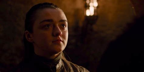 Game Of Thrones Fans Are Defending Arya S Controversial Sex Scene Business Insider