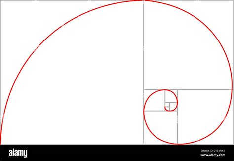 Golden Spiral Fibonacci Spiral Golden Ratio Stock Vector Image And Art Alamy