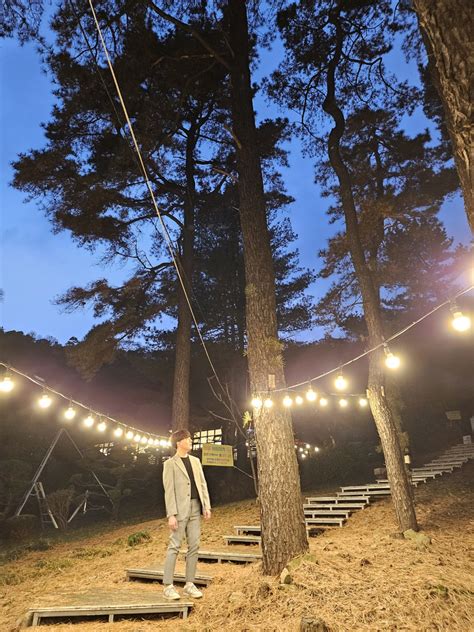 Go Gorilla mux swagger 샘플 프로젝트 만들기