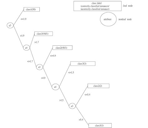 2 the decision tree obtained from the c5 0 algorithm for the iris dataset download scientific