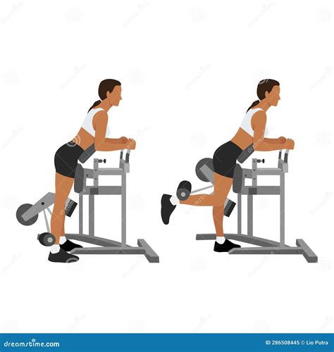 Woman Doing Standing Leg Hamstring Curls Machine Royalty Free