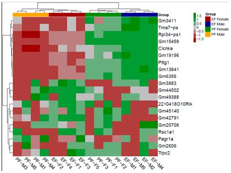 Sex Specific Whole Transcriptome Analysis In The Cerebral Cortex Of Fae Offspring