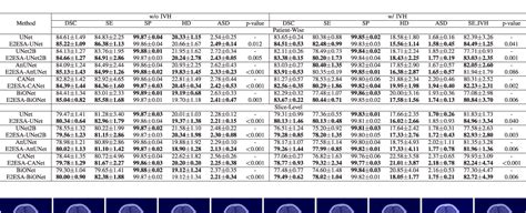 Figure 1 From Symmetry Aware Deep Learning For Cerebral Ventricle