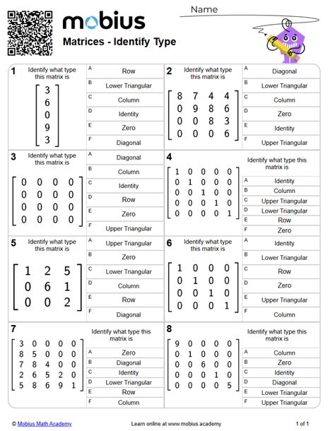 Matrices Identify Type Level 1 Grade 12 Math Worksheets Mobius