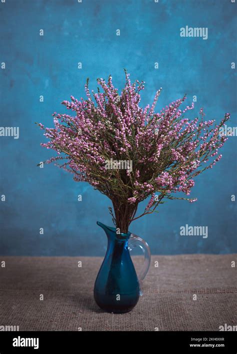 Blue Heather Flower