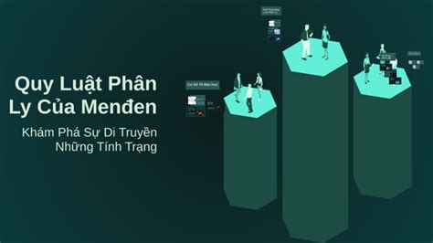 Quy Luật Phân Ly Của Menđen By Minh Phạm On Prezi