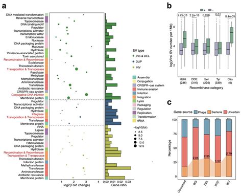 新闻详情 祝贺实验室论文发表于science Advances 揭示了人类肠道噬菌体组中广泛存在的结构变异