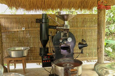 커피 로스팅 머신 커피 공장에서 전문 로스팅 머신 인도네시아 발리의 커피 농장에서 새로운 현대 로스팅 장비 커피 아라비카 댄 코피 루왁의 생산 0명에 대한 스톡 사진 및