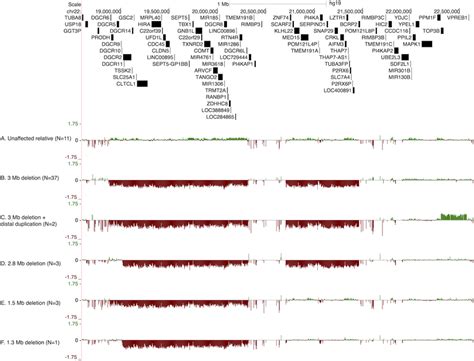 Representative Examples Of Array Comparative Genomic Hybridization Download Scientific Diagram