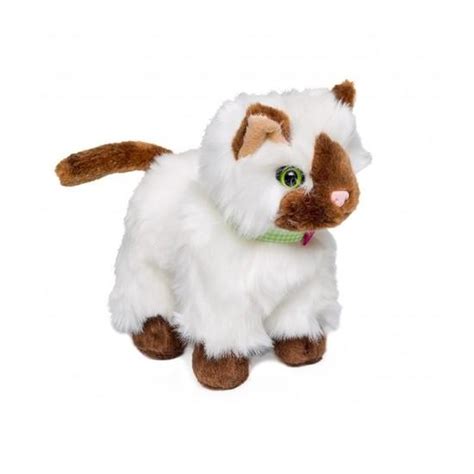 Our Generation Kitten Ragdoll