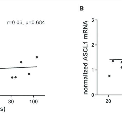 Expression Of Stem And Precursor Cell Markers In The Sez Remained Download Scientific Diagram