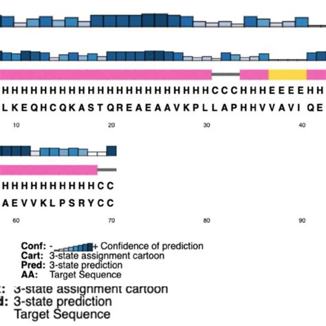 secondary structure of the hypothetical protein developed by psipred