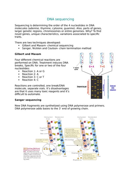 Week 5 DNA Sequencing Lecture Notes 5 DNA Sequencing Sequencing Is Determining The Order Of
