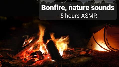 야간 캠핑중 모닥불🔥과 자연🏕️의 소리 Asmr5시간 스트레스 해소숙면릴렉스힐링멍때리기배경화면 Youtube