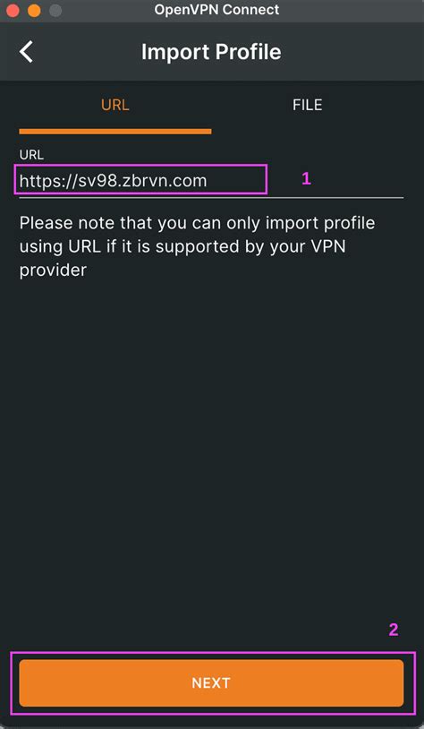 如何在windows 10上设置openvpn V3客户端