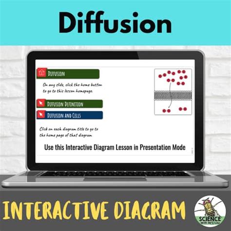 Diffusion Interactive Diagram By Science With Mrs Lau Tpt