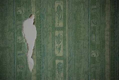 무료 이미지 목재 조직 구멍 무늬 녹색 디자인 나무 바닥 찢어진 벽지 3872x2592 1046194 무료 이미지 Pxhere