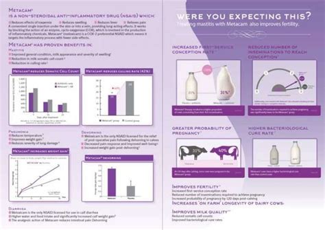 Metacam Boehringer Ingelheim Graphic Design Company In Dubai