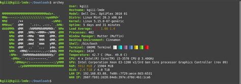 get some system information with archey r linuxtips