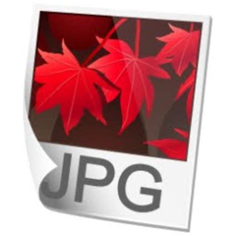 Filename Extensions Image Gallery List View Know Your Meme