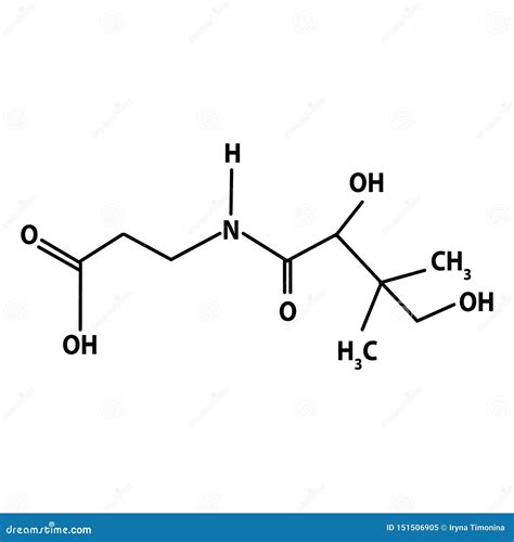 Vitamin B Pantothenic Acid Molecular Chemical Formula Infographics Vector Illustration On