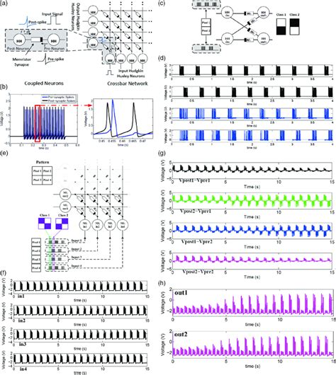 Simple Patterns Are Classified By Hh And Ml Memristive Neurons