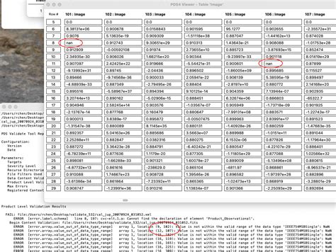 Validate Reports Nans In A Binary Fits File Possibly Erroneously · Issue 532 · Nasa Pds