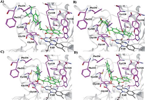 The Docking Predicted Binding Mode Of 8 10 13 And Crystal Binding Download Scientific