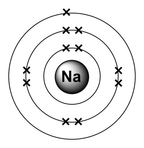 Sodium Orbital Diagram At Getmadisynblog Blog