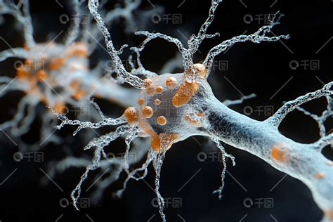 人工智能ai数字艺术 人工智能3d渲染灰色橙色神经元树突轴突突触小泡黑色背景插画 Ai图片免费下载 Png格式 4032像素 编号71755619 千图网