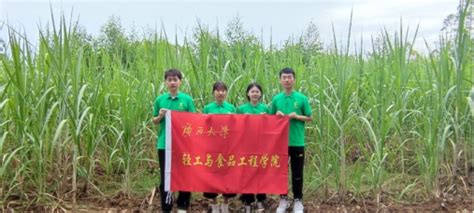 广西大学甘蔗与制糖乡村振兴实践团队开展科技对接实践活动 广西大学轻工与食品工程学院
