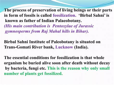 Fossil Gymnosperms And Geological Time Scale Pptx