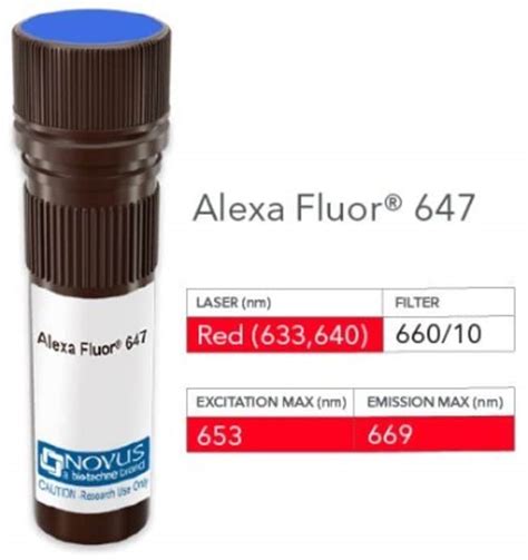 Fbxl12 Antibody Alexa Fluor™ 647 Novus Biologicals™ 01 Ml Alexa
